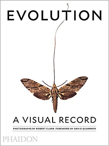 CIENCIAS NATURALES : EVOLUTION. A VISUAL RECORD